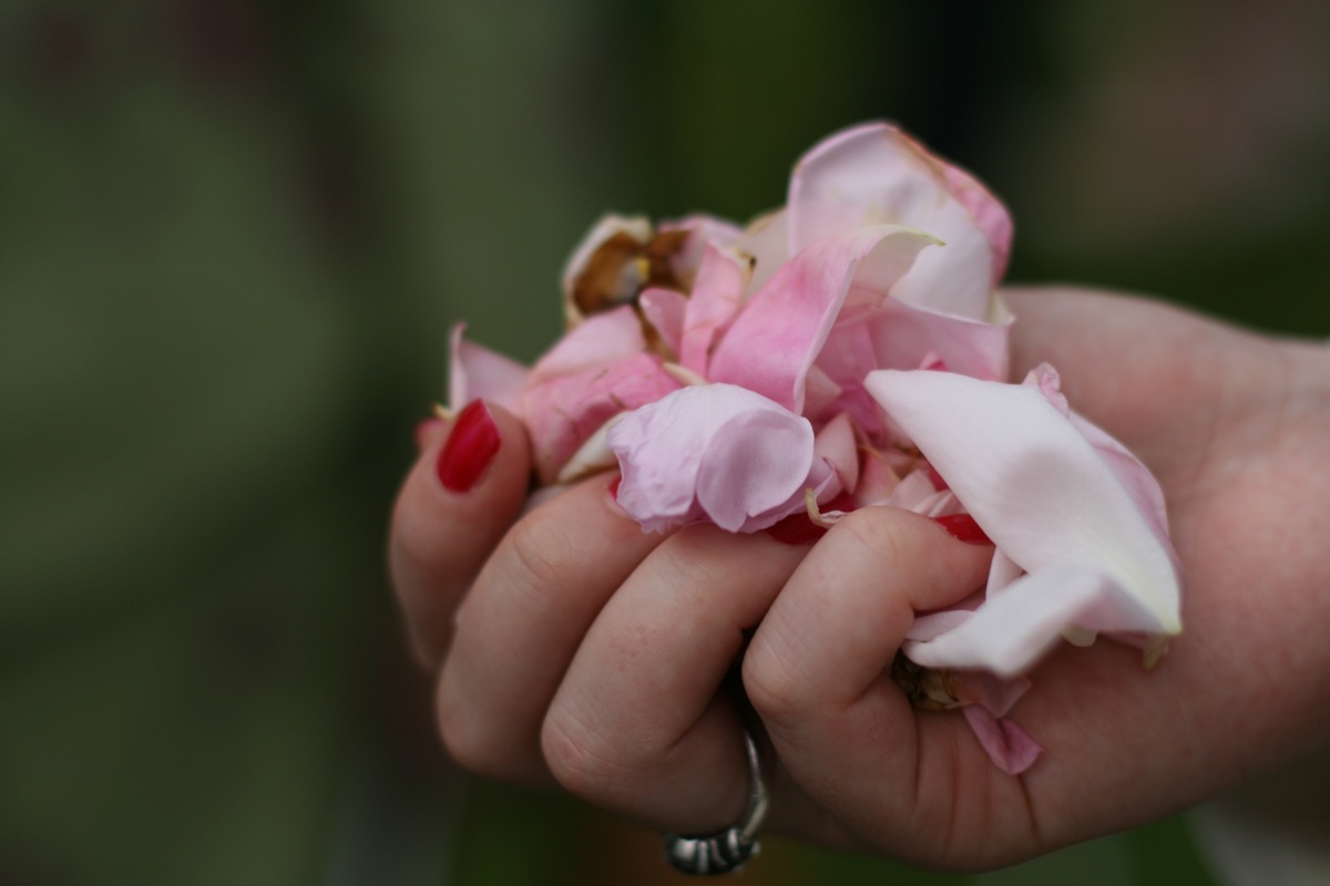 strew 14 – Cottage Capers